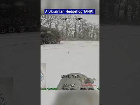 Ukrainian Armored Counterattack Repelled in Dobropillya, Zaporizhia Direction