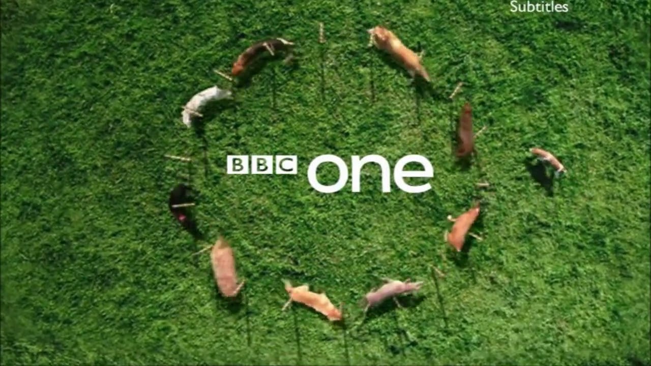 BBC One Idents 2009 Dog Display - YouTube