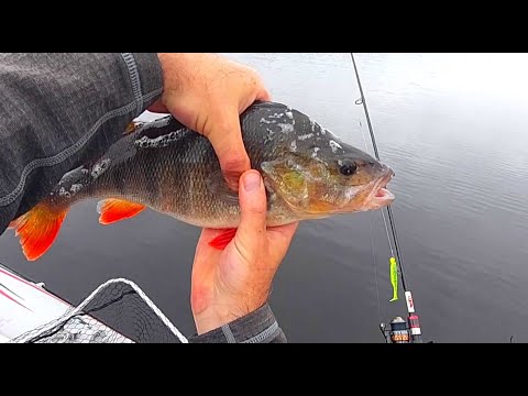 Fishing Loch Ard - 2021 - YouTube