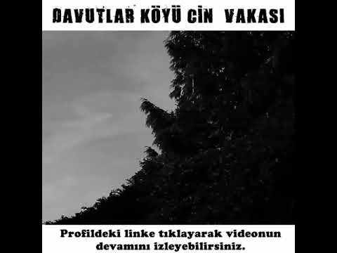 İnanmalımıyız cinia