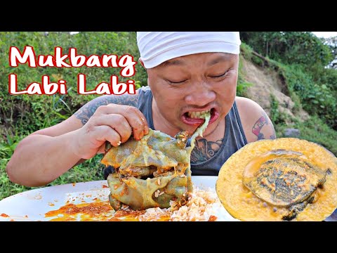 Rezeki Di Sungai Kecil,Dapat Labi Labi Terus Masak SAMBAL PEDAS. - YouTube