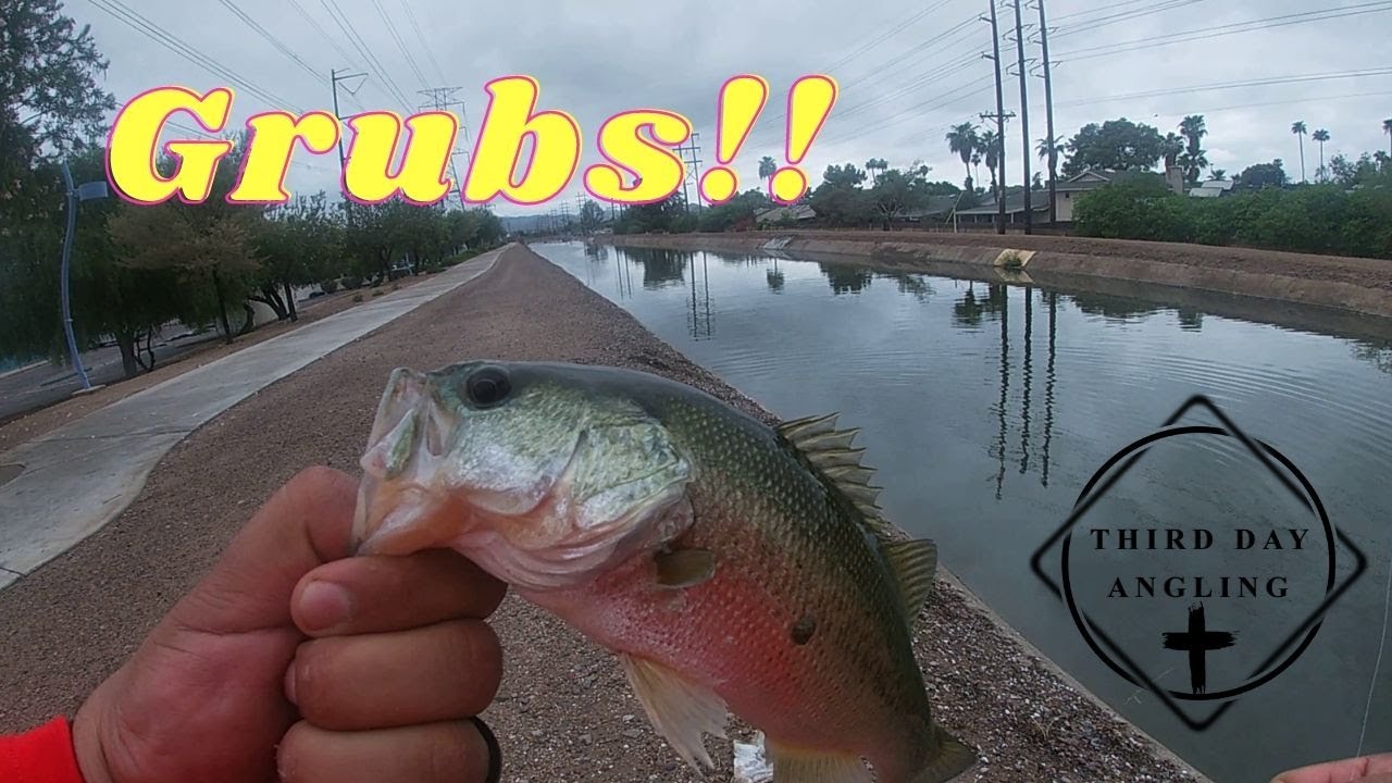 CANAL FISHING ARIZONA! SWIMMING GRUBS! - YouTube
