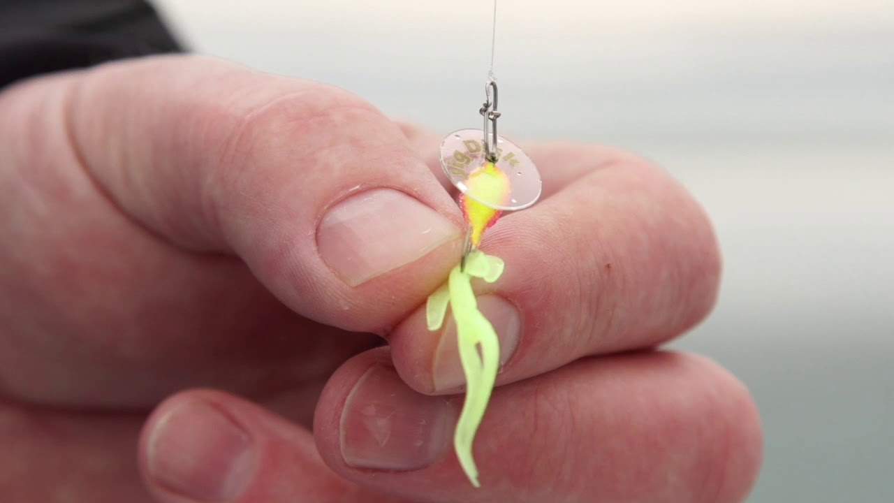 Clam Jig Disks - YouTube