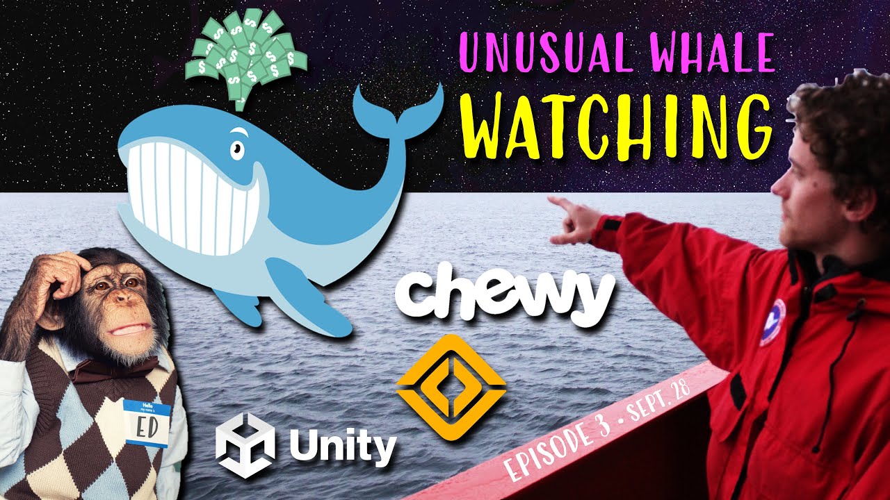 Exploring Unusual Whales and Rivian 🎯🚀 - YouTube
