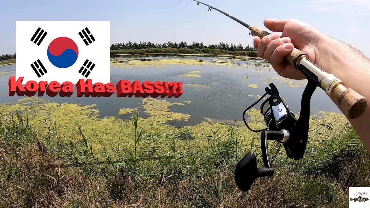 BASS Fishing in KOREA!!! - YouTube
