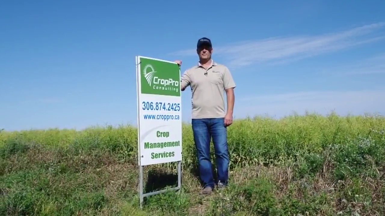 Crop Management Services from CropPro Consulting - YouTube