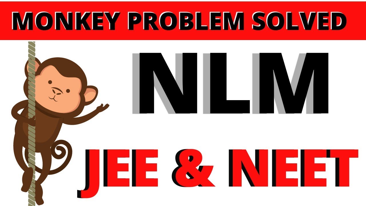 Monkey🐒climbing a rope Physics Problem 😱🔥|Monkey Problem physics class ...