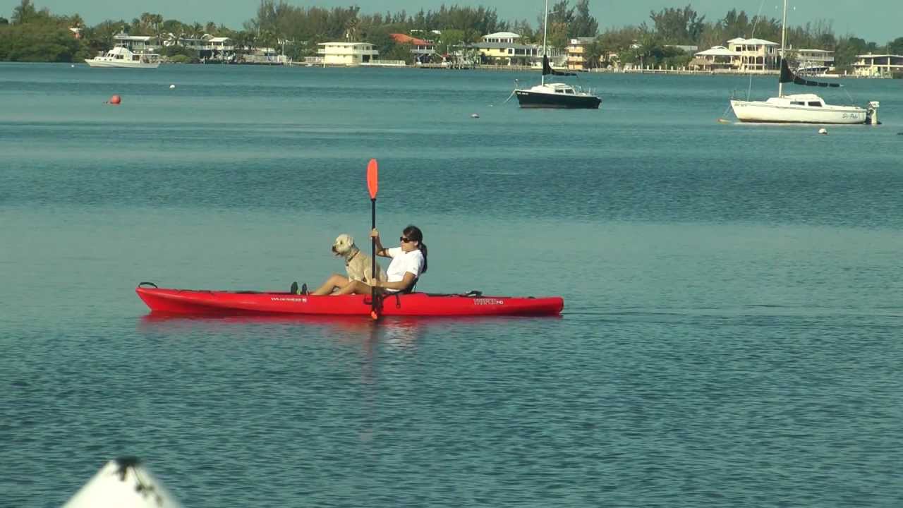 Dog Friendly Key Largo Florida Keys! - YouTube