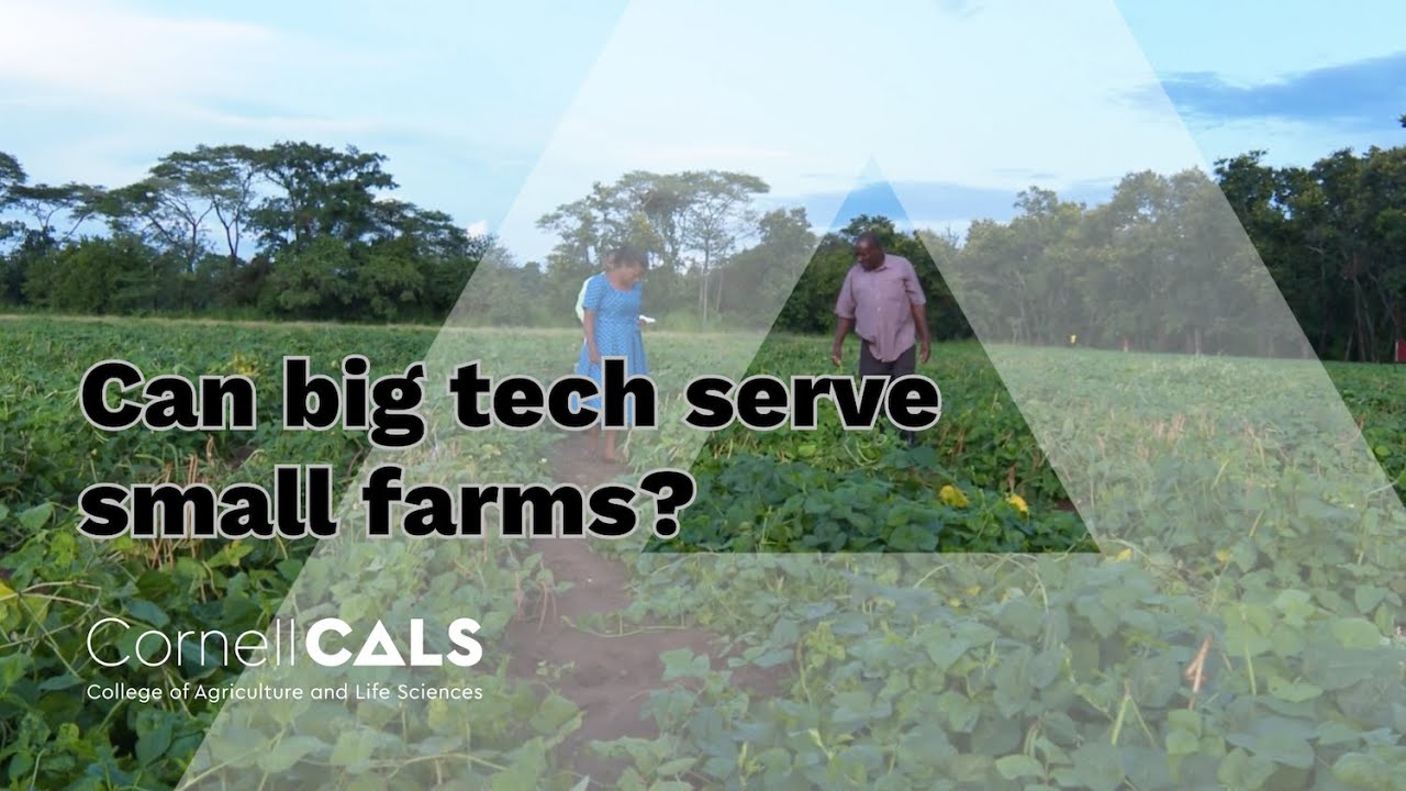 Faculty Research Spotlight: Can big tech serve small farms? - YouTube