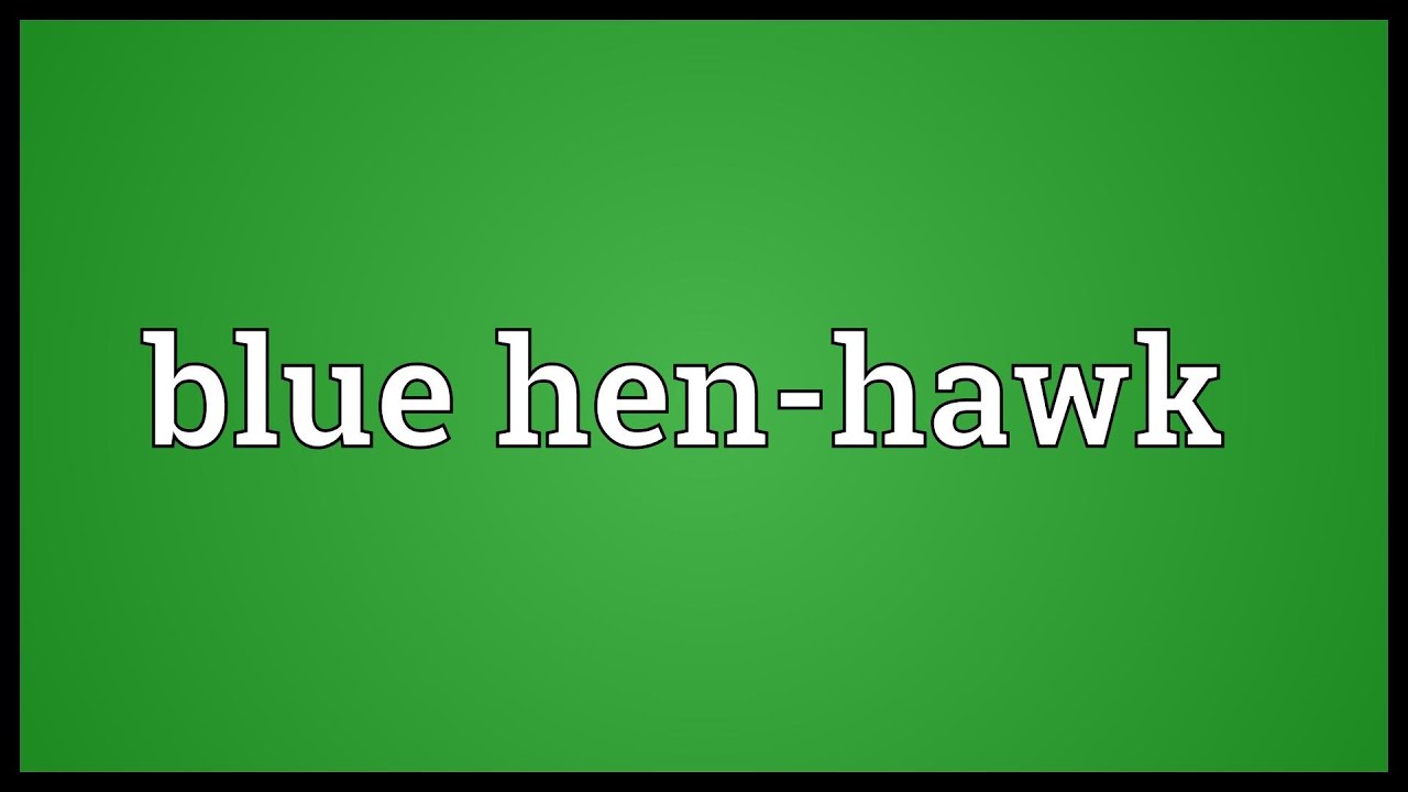 Blue hen-hawk Meaning - YouTube