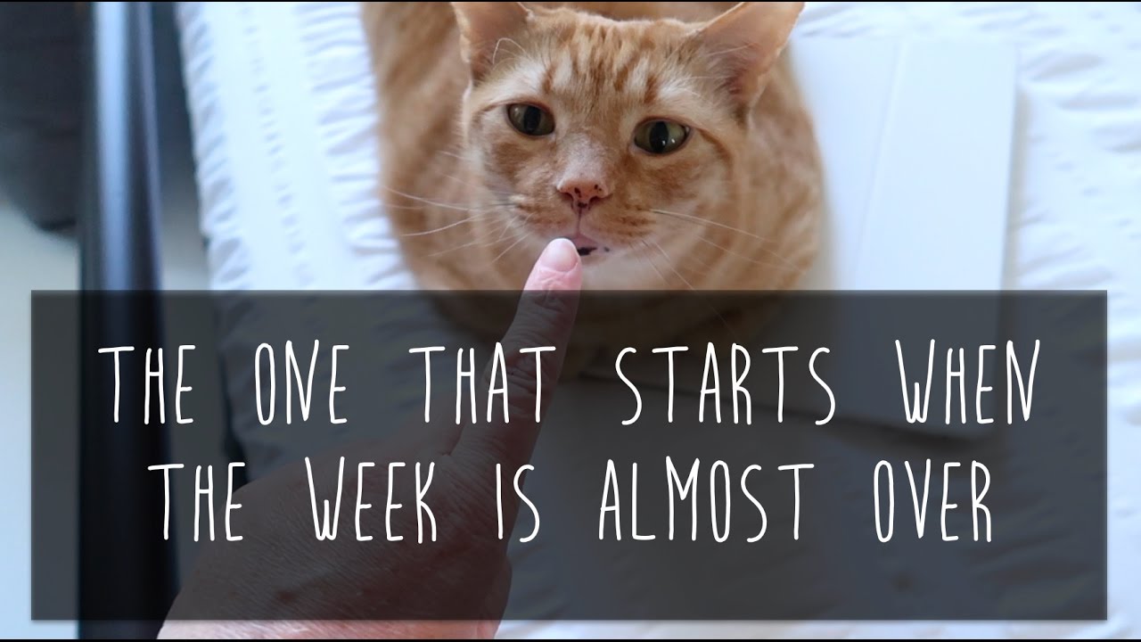 Week 143 the one that starts when the week is almost over - YouTube
