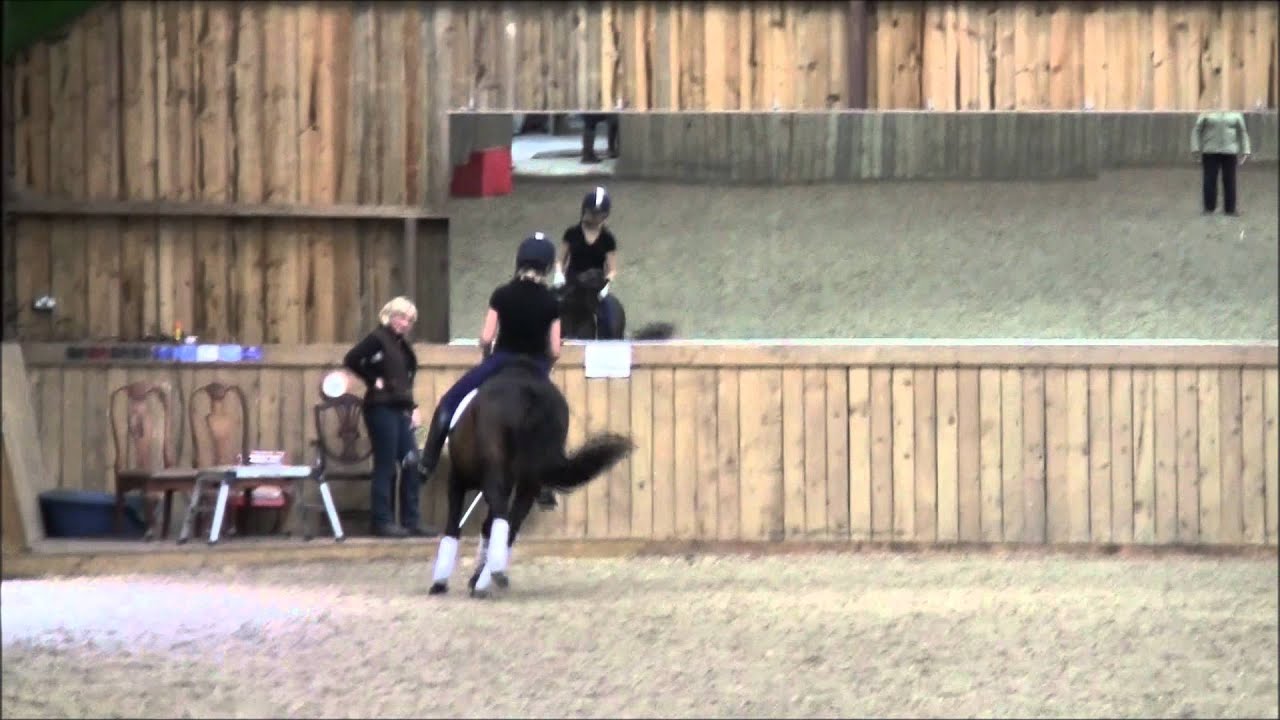 SCOUNDREL'S KNIGHT - YouTube