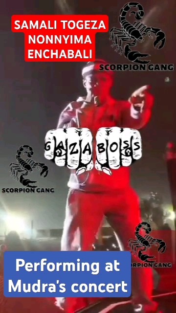 Gaza Boss performing love lunyiriri at Mudra's concert (scorpion gang ...