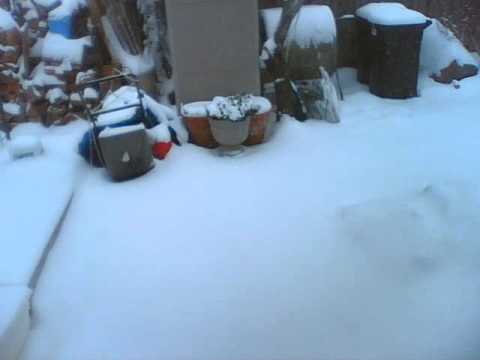 Snow. Ugh. - YouTube