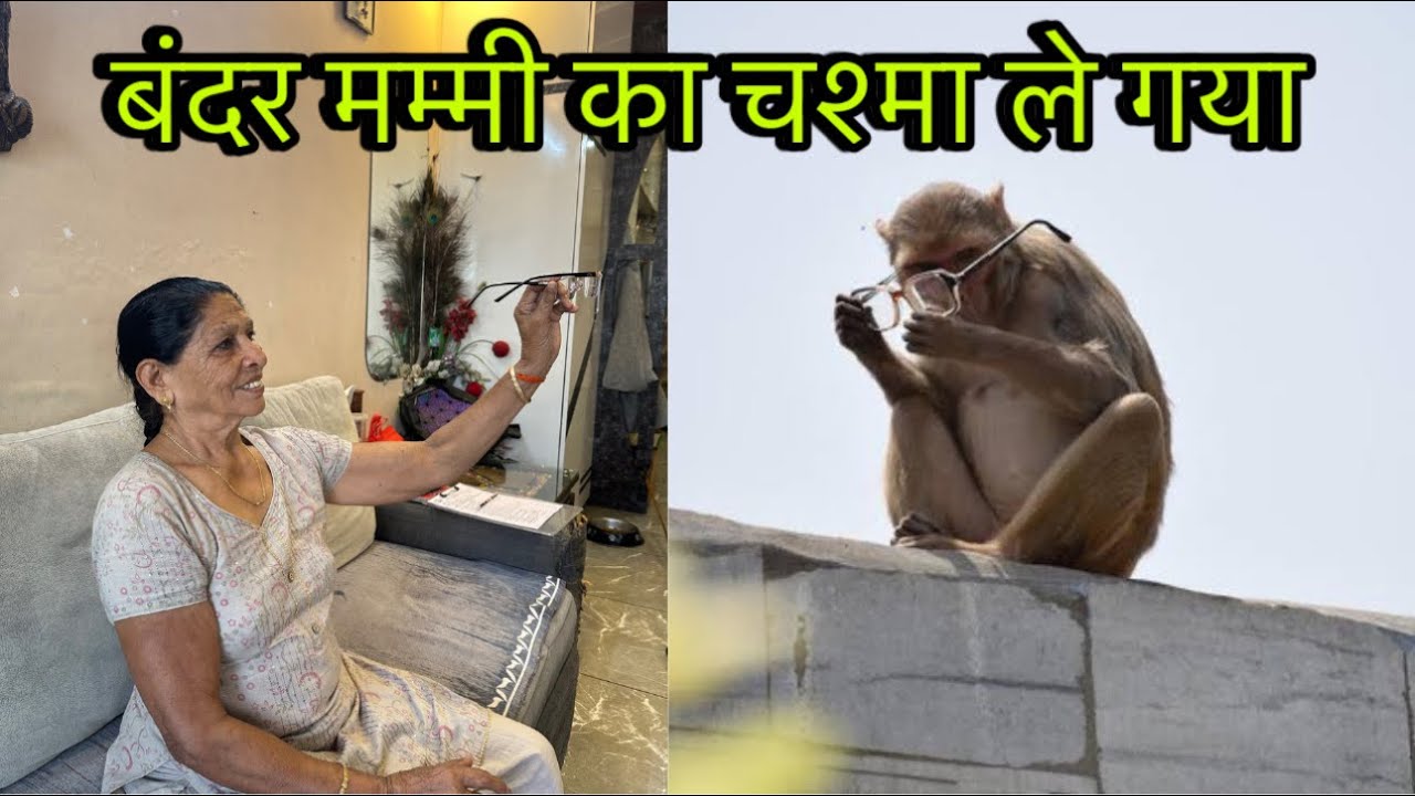 Monkey Chasma Legya Mummy Ka Vrindavan Mein - YouTube
