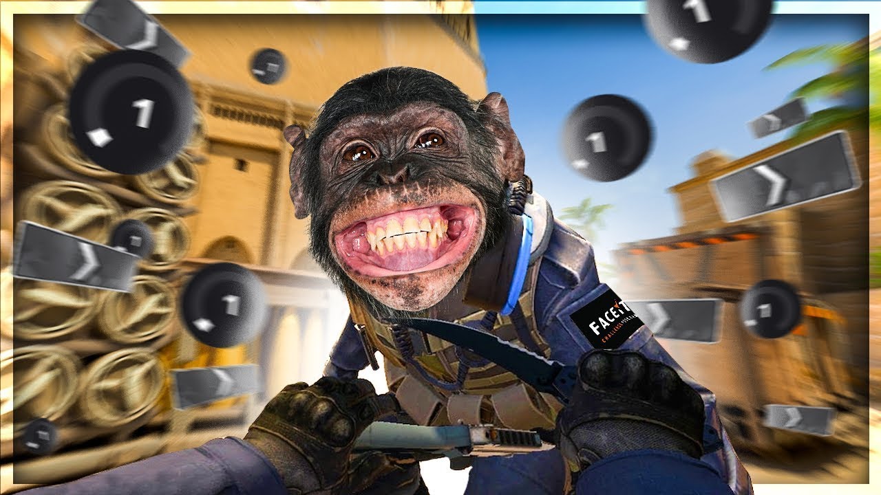 road to 1k elo New Sens !faceit - YouTube