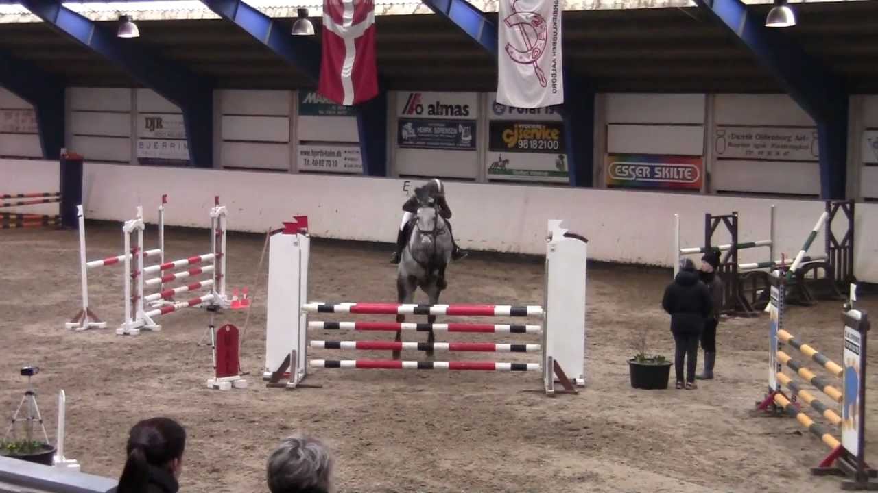 Winnie og Falco den 17-03-2012.m2ts - YouTube