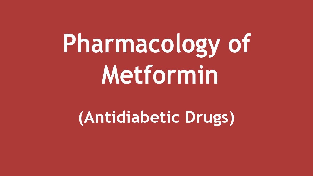 Pharmacology of Metformin (Antidiabetic Drug) [ENGLISH] | Dr. Shikha ...