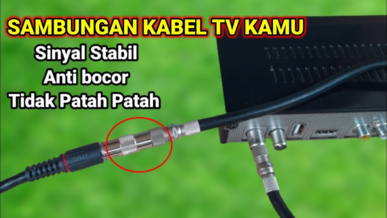 Konektor Jack Sambungan Kabel Antena Tv Digital Female To Female - YouTube