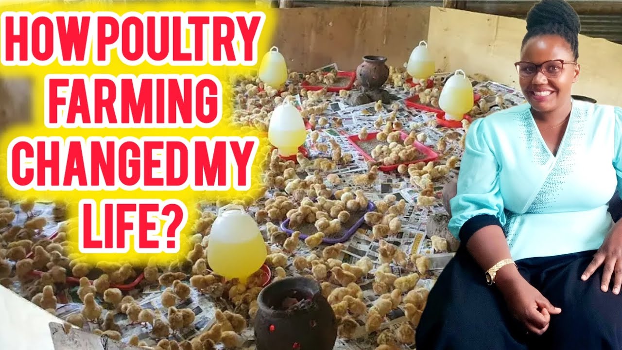 How POULTRY FARMING Has Changed My Life? - YouTube