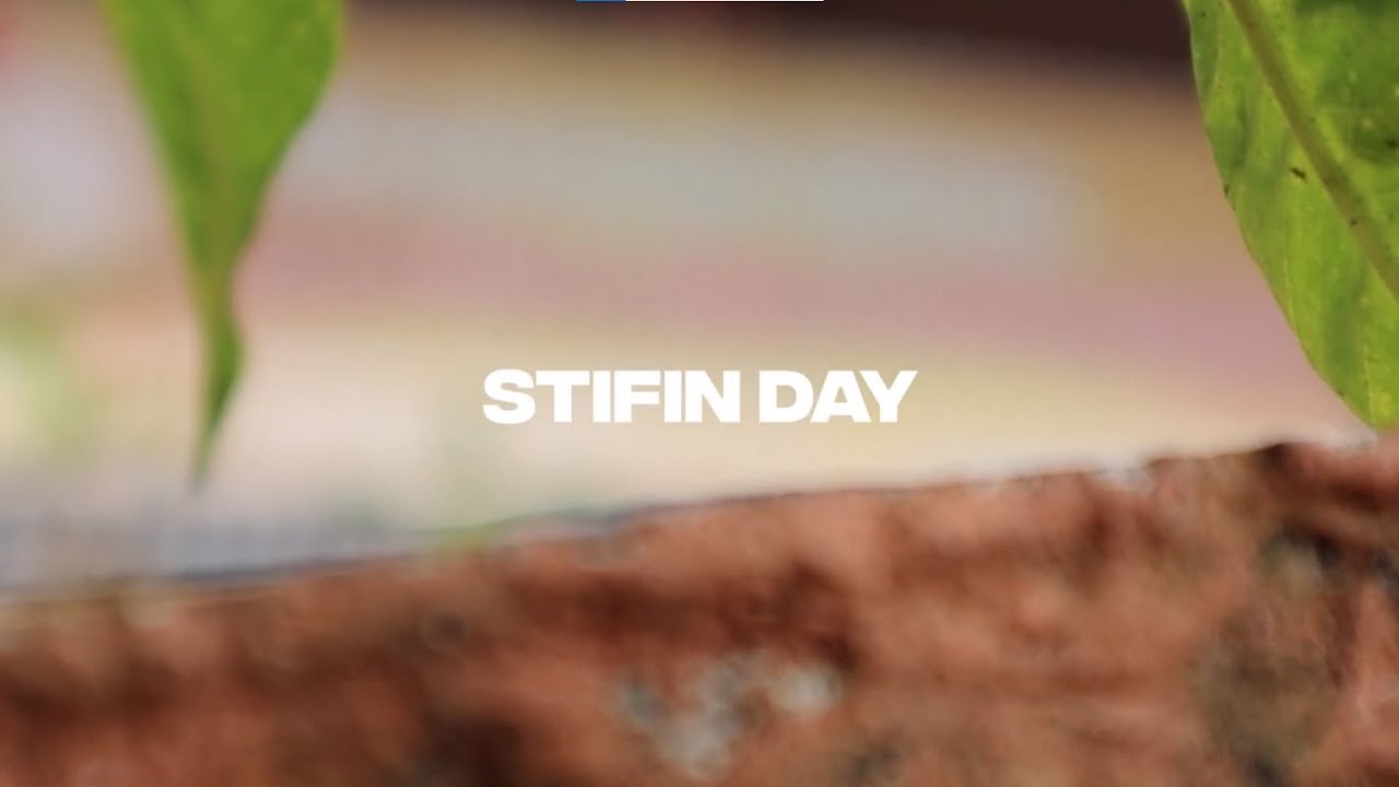 STIFIn DAY : INTUITING TEAM PART 1 - YouTube