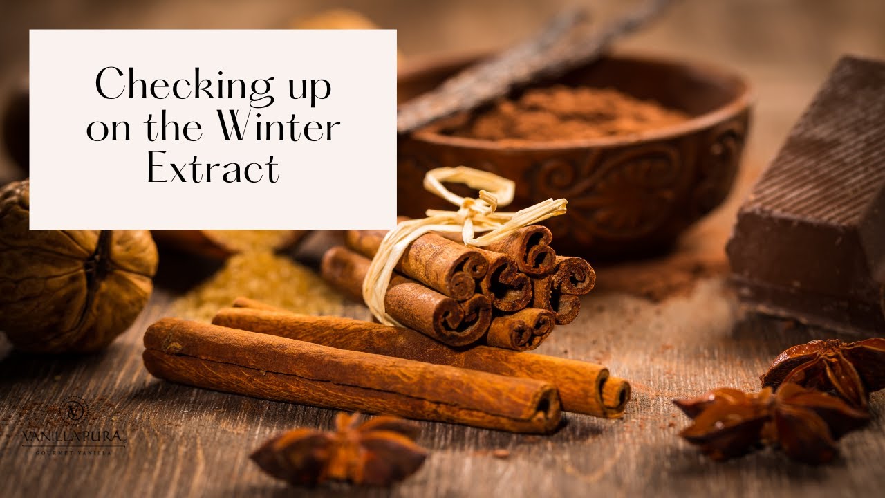 The 1 Month Check Up on the Winter Spice Extract We Made in Our ...