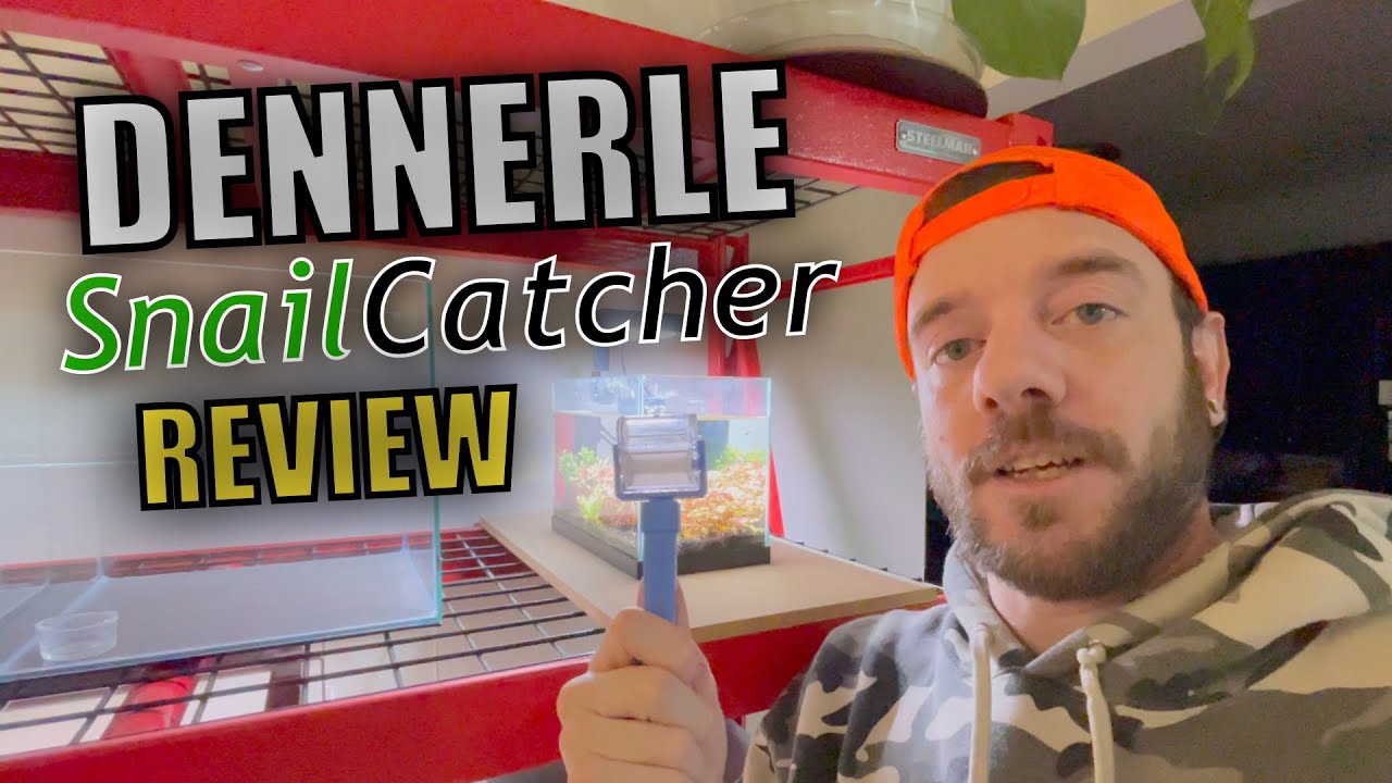 Dennerle Snail Catcher Review - Catch Em All!!!! - YouTube