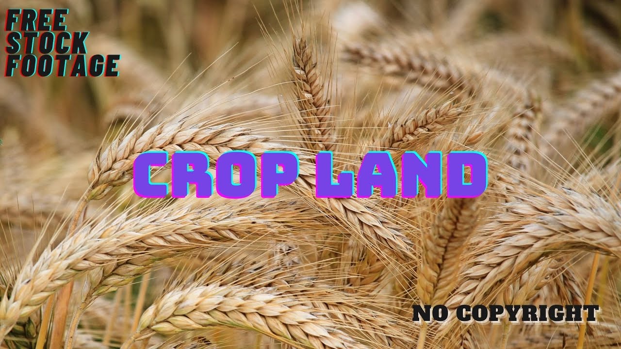 Crop Land - NO COPYRIGHT | Free Stock Video | HowTo - Mr. SP - YouTube