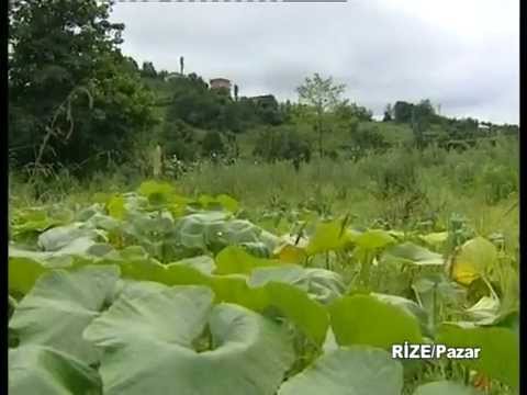 RIZE PAZAR BELGESELI.flv