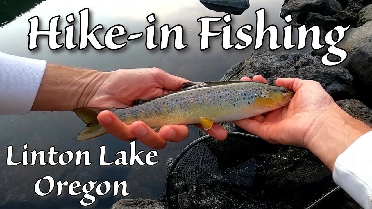Linton Lake Fishing Browns & Brooks repost from Erik the Fish Nerd ...