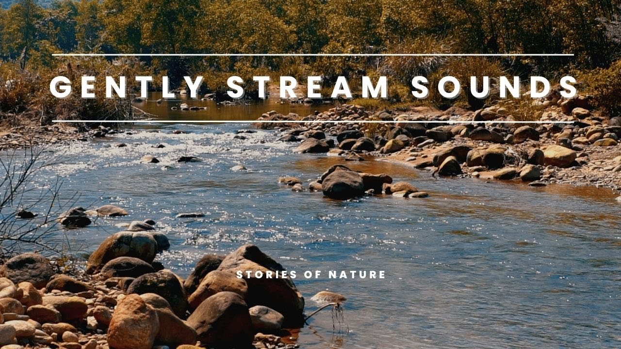 Relaxing, calm your mind with gently stream sounds - YouTube