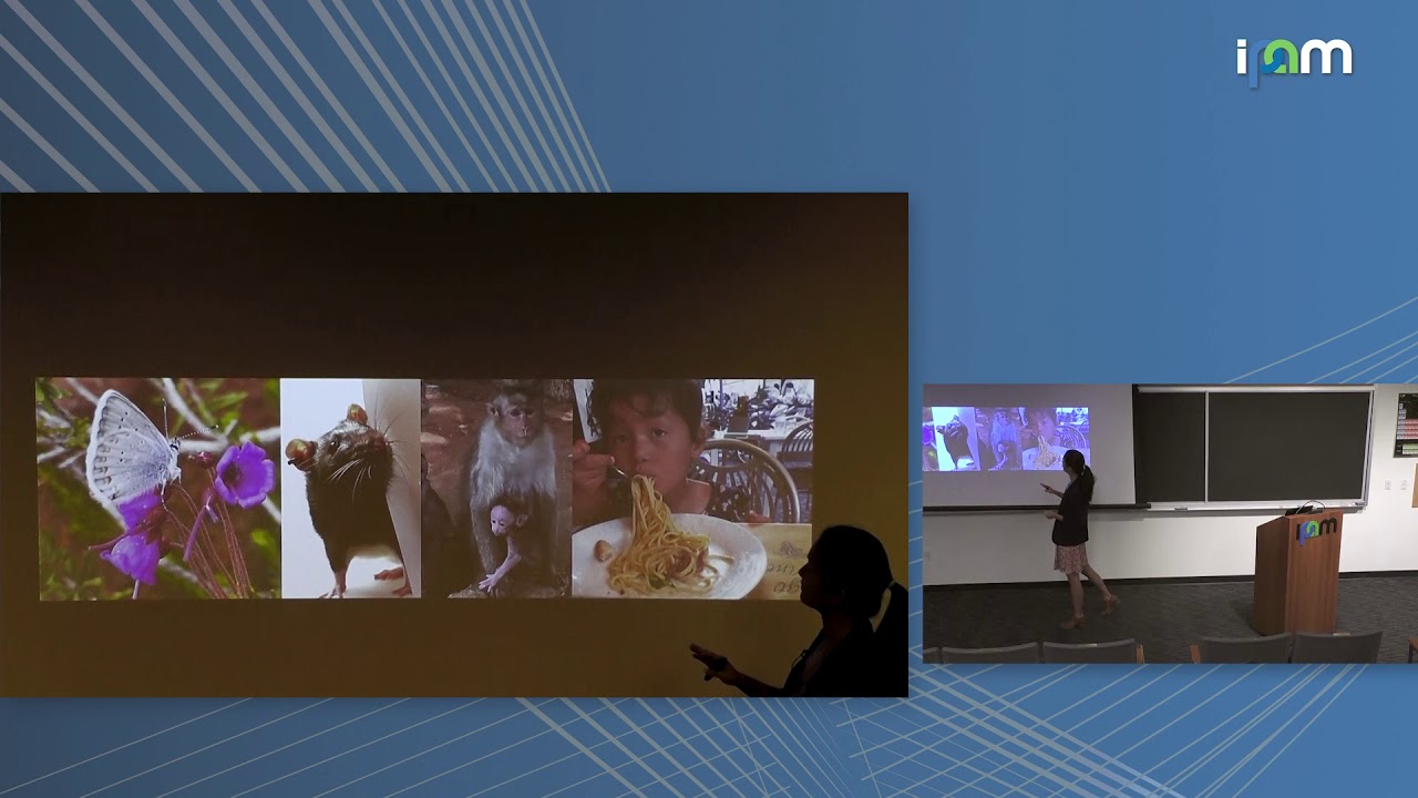 Bing Brunton: "Fields and flows in neural dynamics" - YouTube