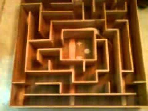 Rata en Laberinto - YouTube