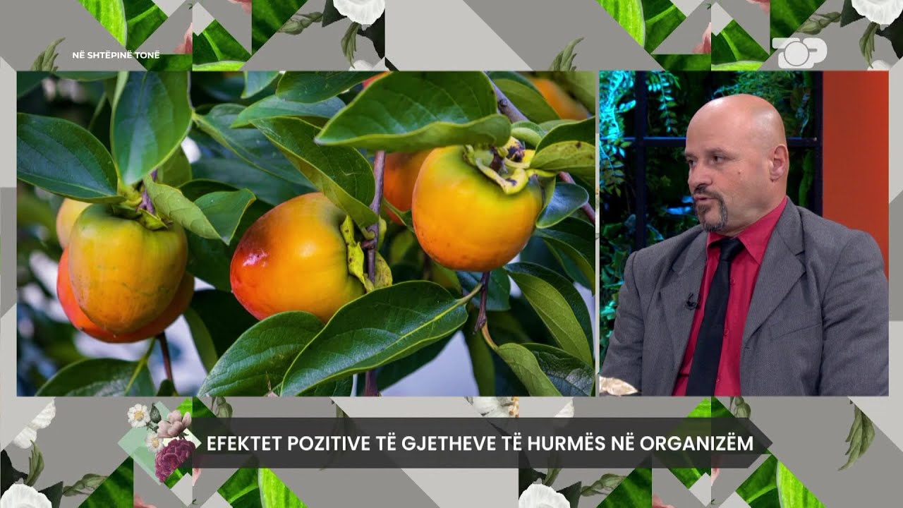 Përse gjethet e hurmës, pastrojnë gjakun dhe ulin kolesterolin në ...