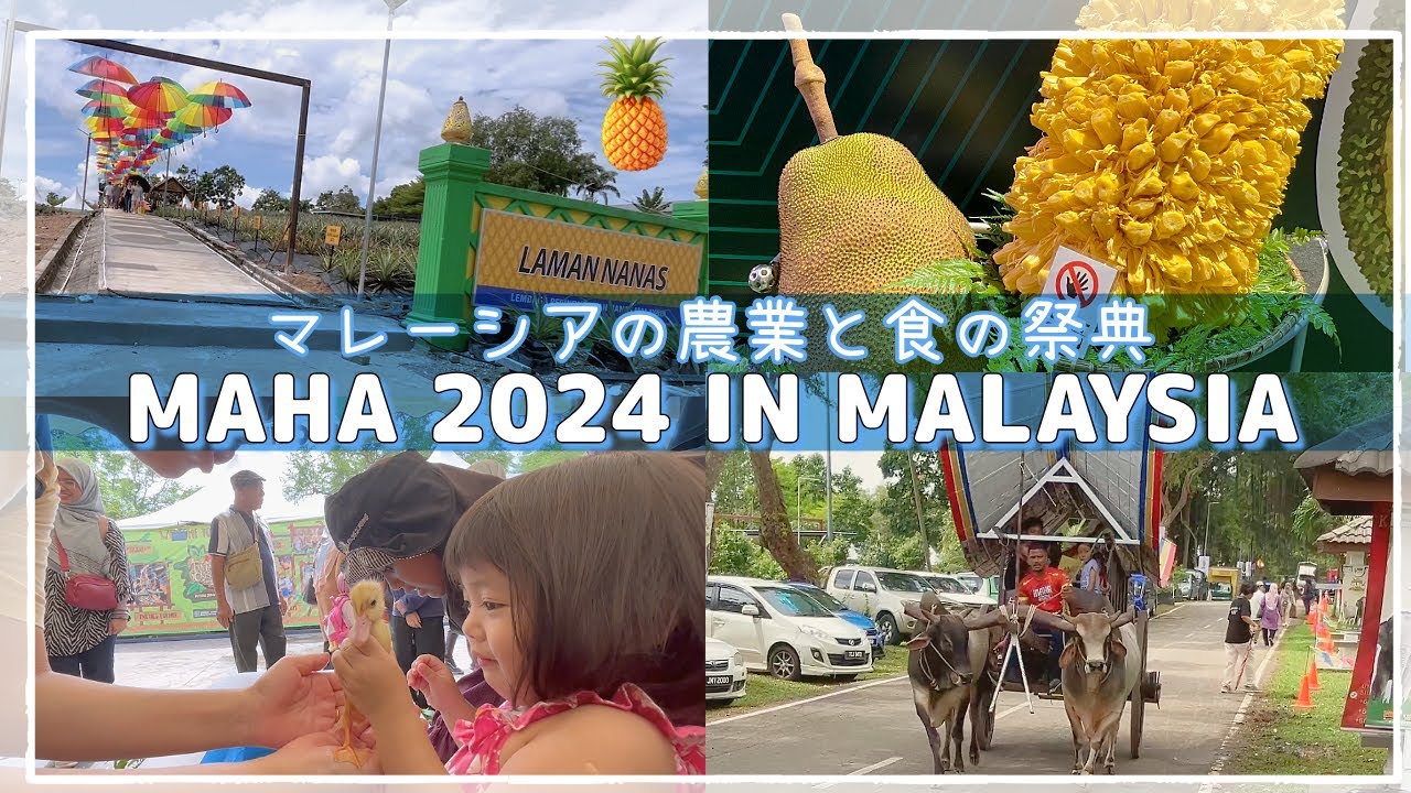 【マレーシア生活】MAHA 2024体験記 : 自然溢れる農業展示会が楽しすぎた！ - YouTube