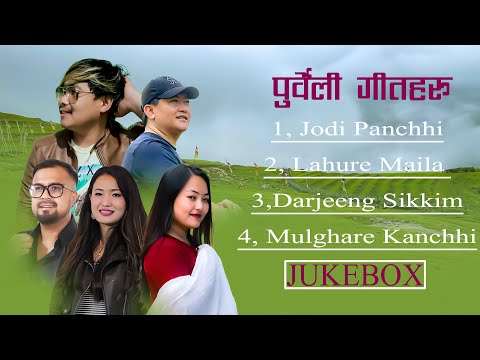 New Nepali Audio Jukebox 2024/2081 || Purbeli  lok Songs #nikeshrai  #jukebox  #song