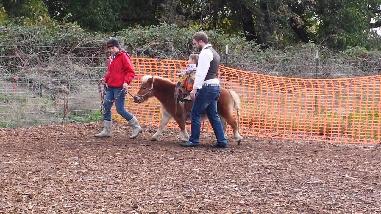 First Pony Ride! - YouTube