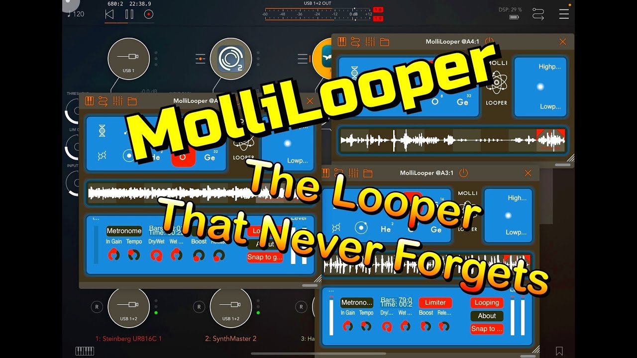 MolliLooper - The Looper That Never Forgets - Tutorial & Demo for the ...