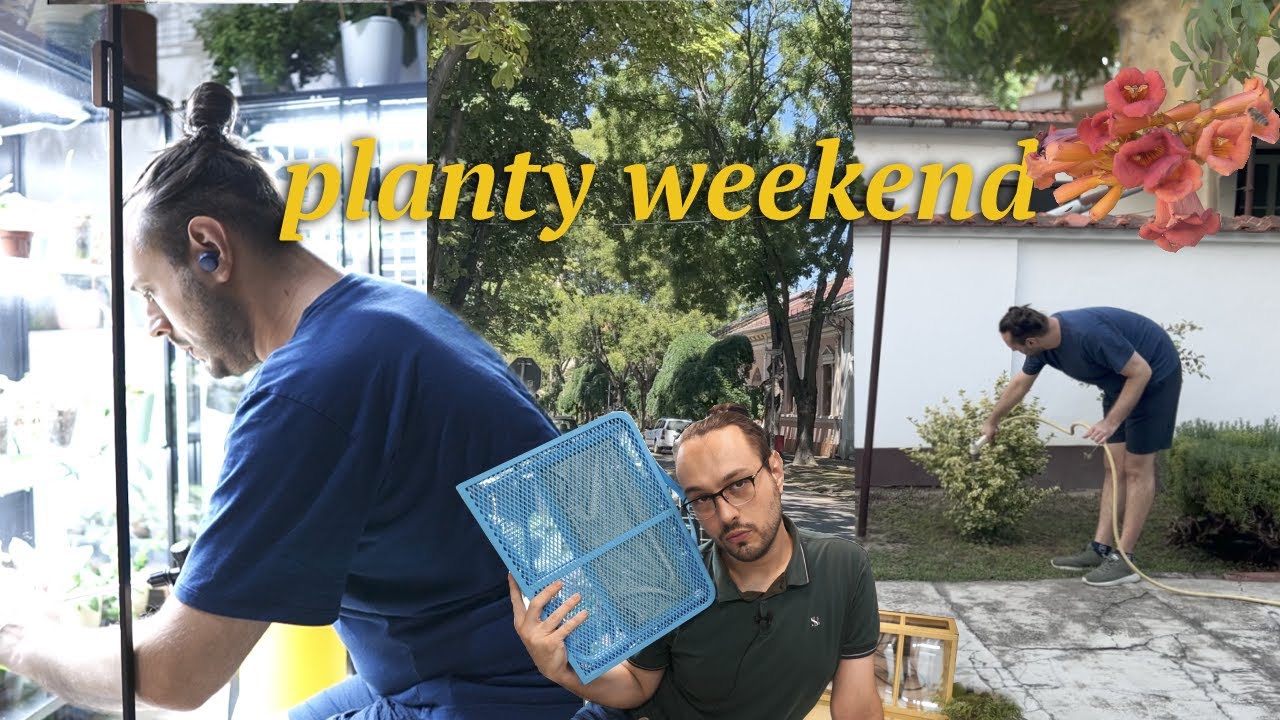 end of week planty vlog | hanging self-watering planter hack, new ...
