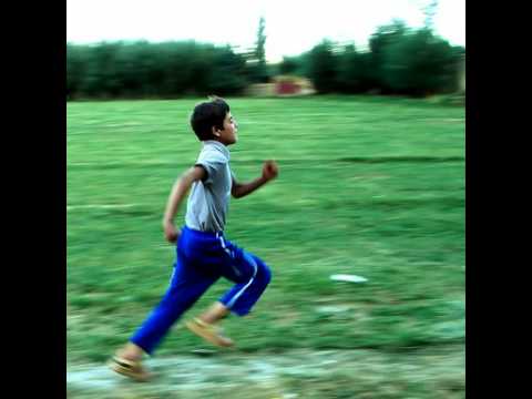 Elephant Run Book Review - YouTube