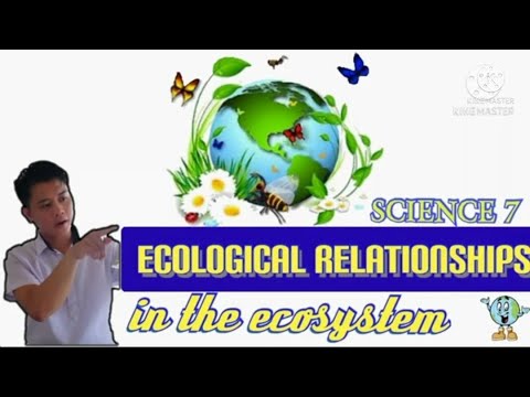 ECOLOGICAL RELATIONSHIPS IN ECOSYSTEM | ASYNCHRONOUS DEMO TEACHING IN ...