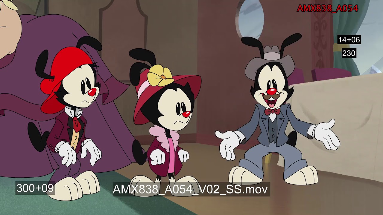 Animaniacs animated scenes - YouTube