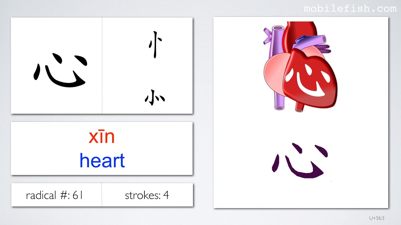 Chinese radicals in English 7/22 - YouTube