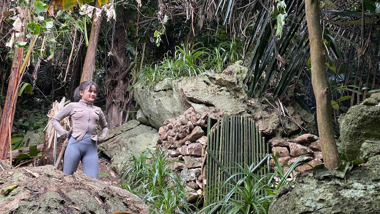 Full Video: I Built a Rock Shelter in 7 Days in the Rainforest, Solo ...
