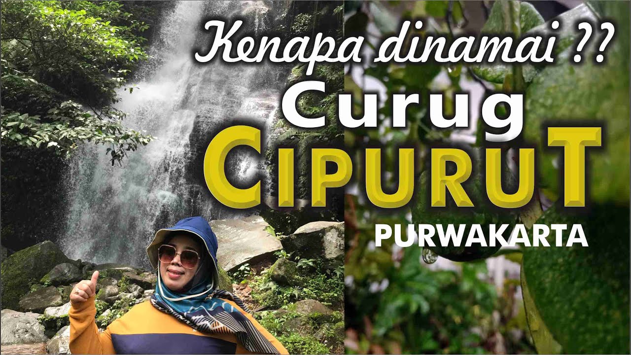CURUG CIPURUT WISATA PURWAKARTA AIR TERJUN DI KAKI PEGUNUNGAN ...