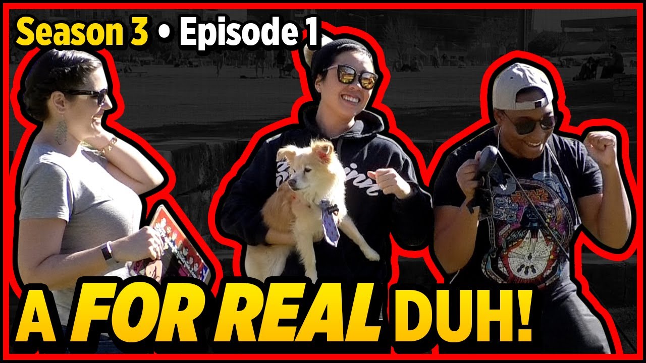 Will you get fooled by our obvious questions? Season 3 of Duh is ...