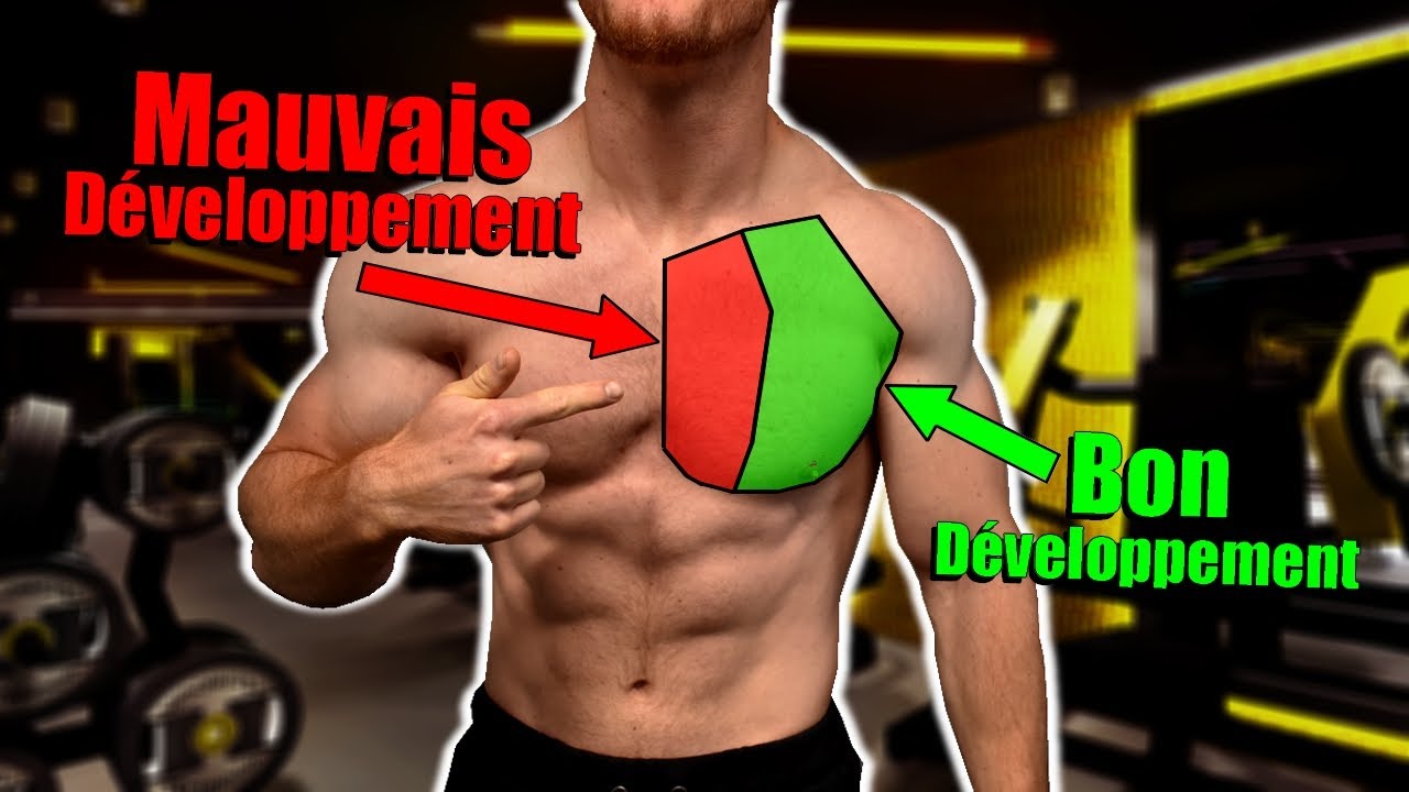 Le Plan Ultime pour Développer L'Intérieur de Tes Pectoraux - YouTube