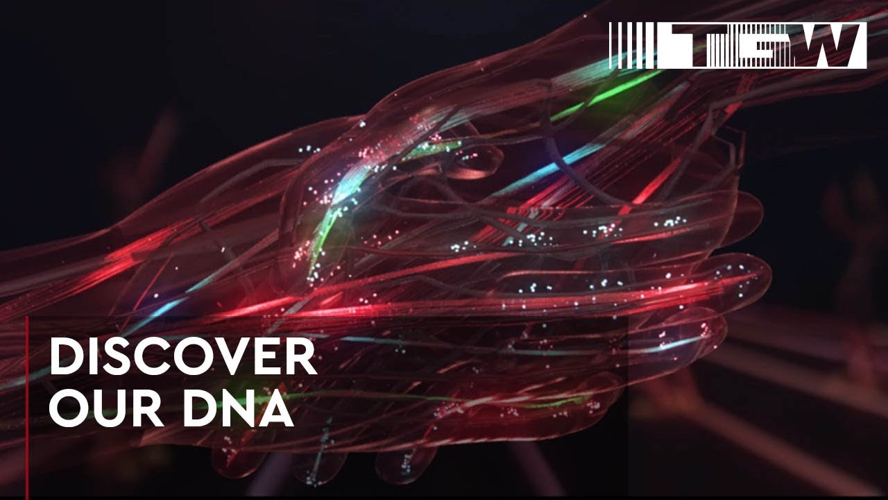 Discover our DNA (animation -film in 16:9!) | TGW EN) - YouTube