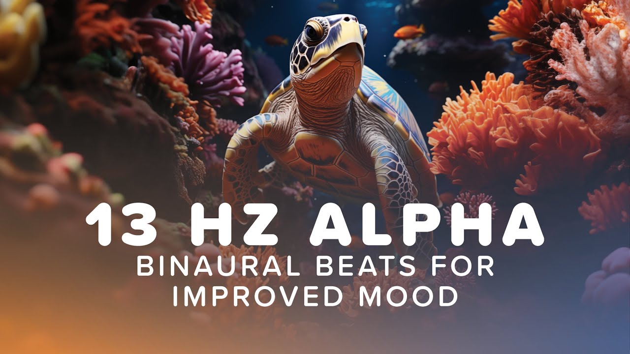 Improved Mood | 13 Hz Alpha | Sea Turtle Spirit Animal - YouTube