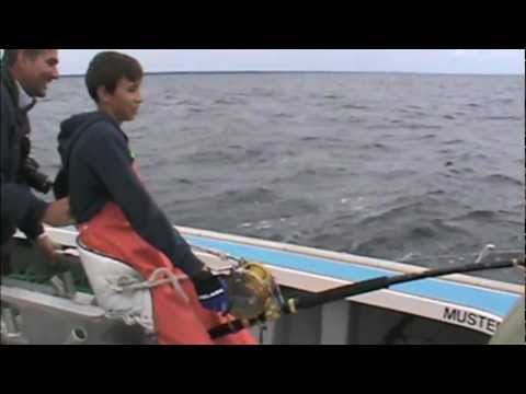 2 Giant Bluefin Tuna 900lbs PEI - YouTube